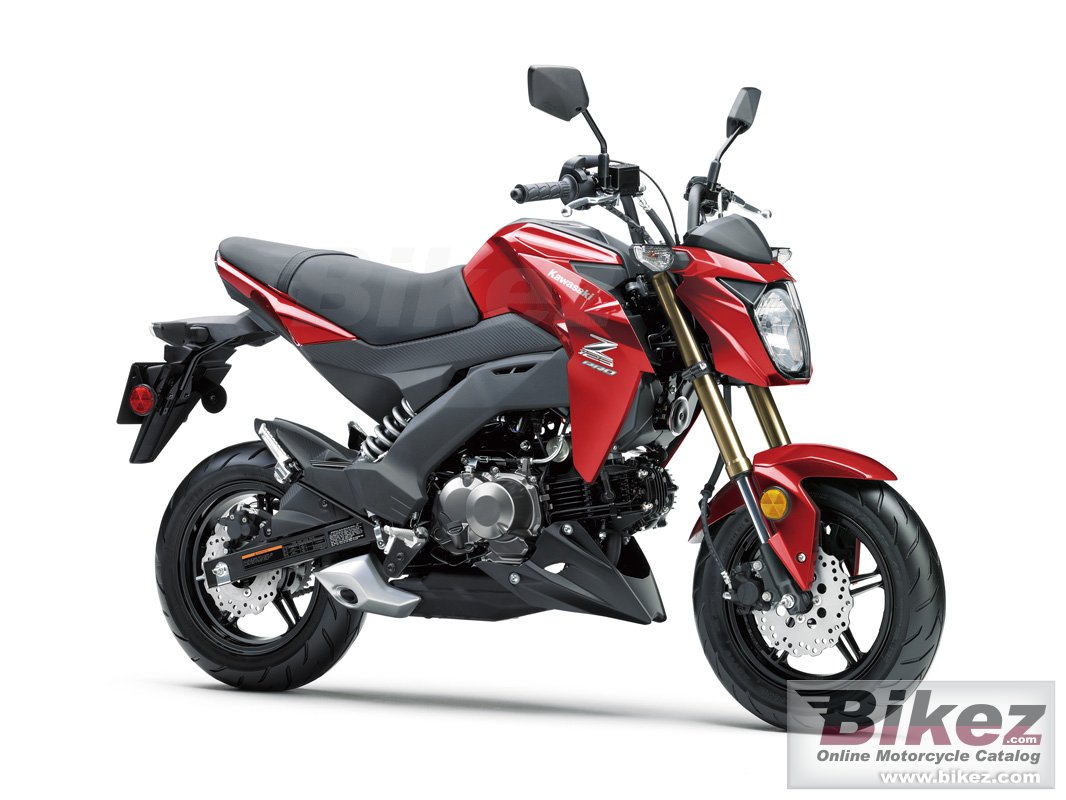 Kawasaki Z125 Pro poster